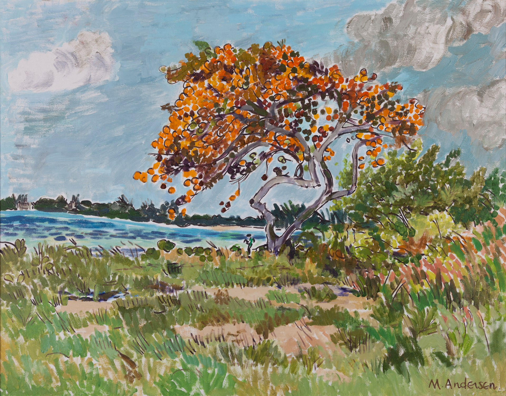 Sea Grape Tree Drawing