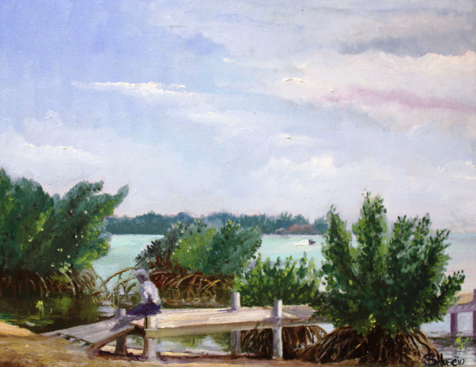 Shakir Husein - Artist - National Gallery of the Cayman Islands