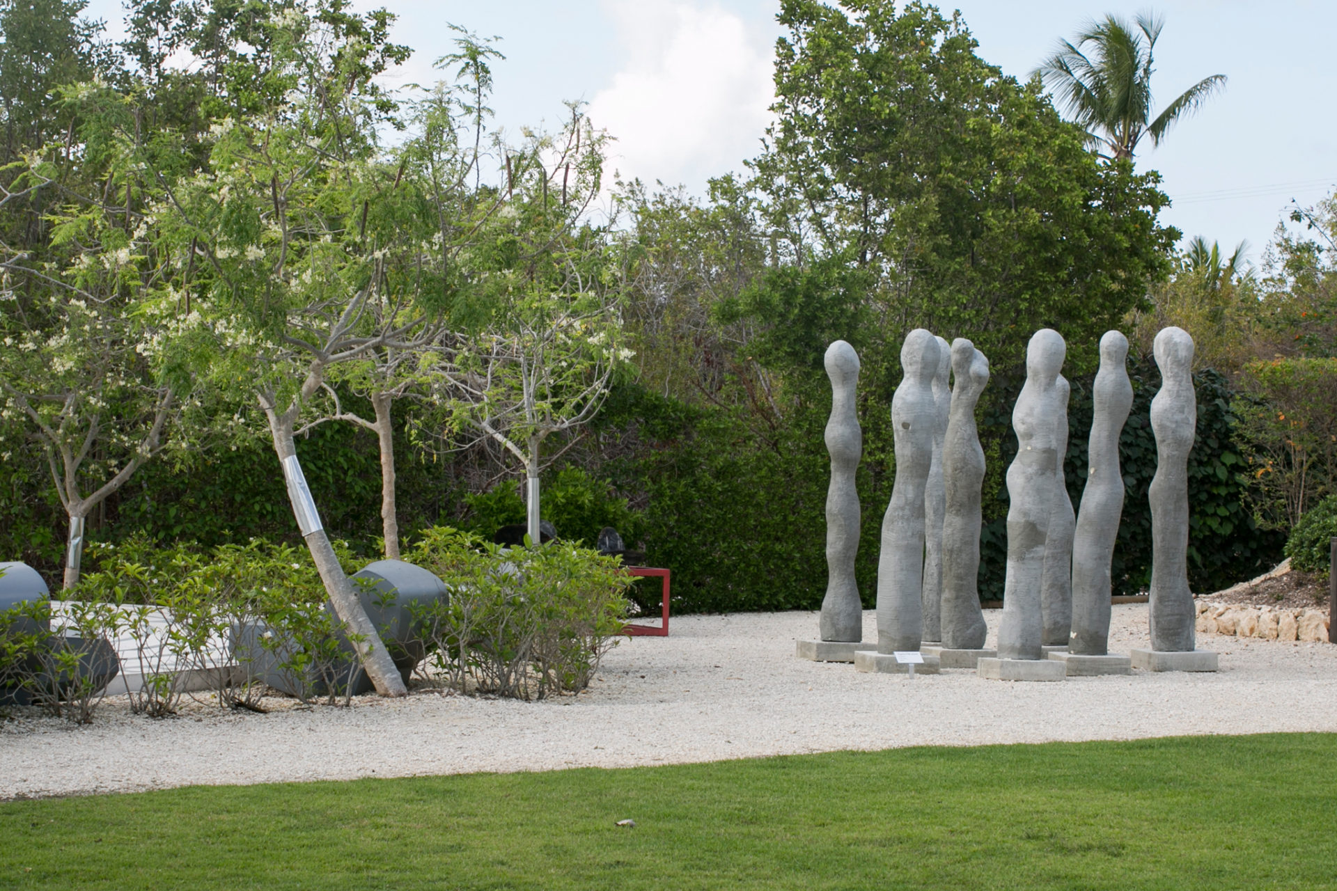 Guided Garden Tours - National Gallery of the Cayman Islands