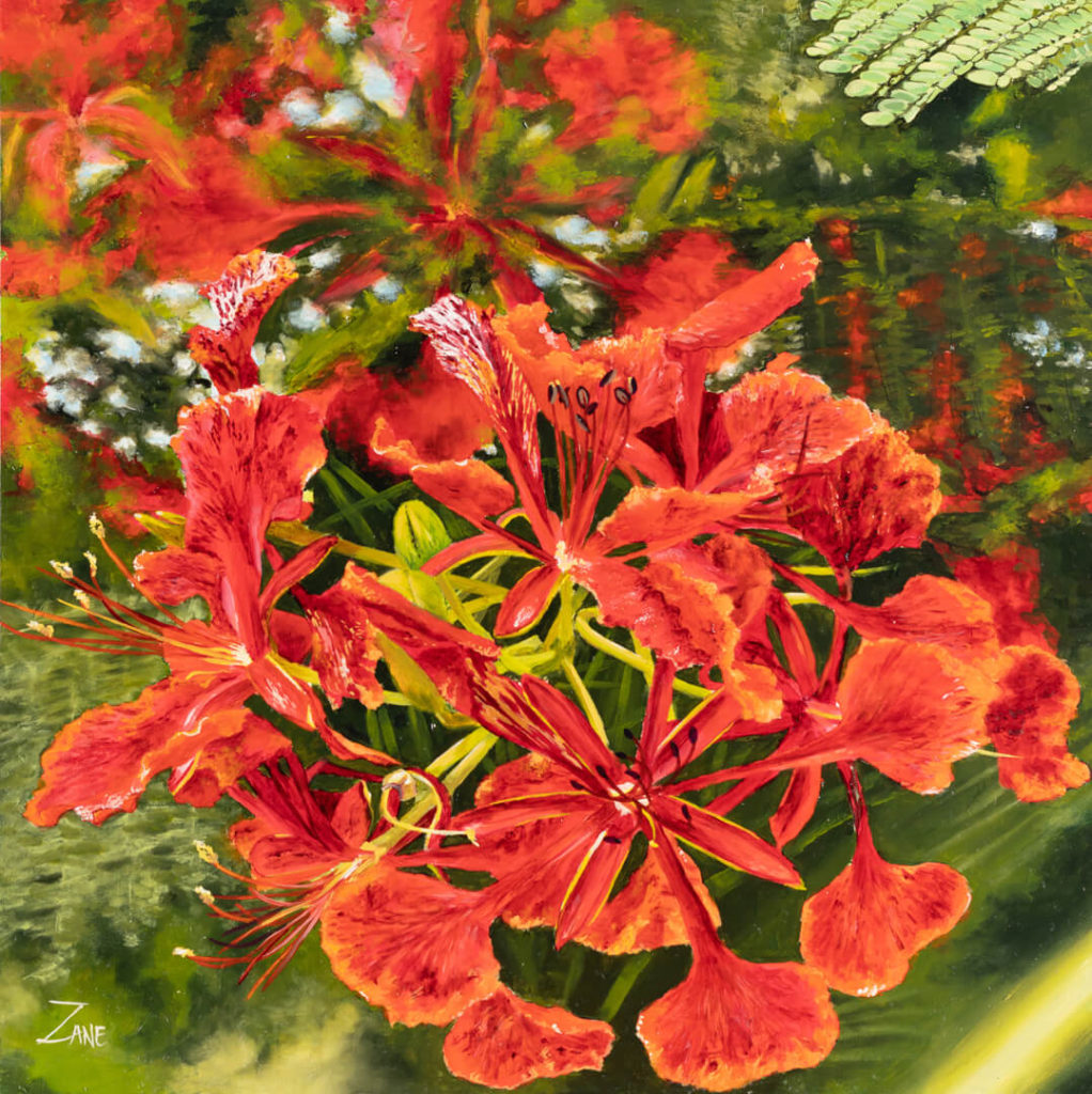 NGCI Launches ‘Terra Botanica’ exhibition exploring the Native Flora of ...